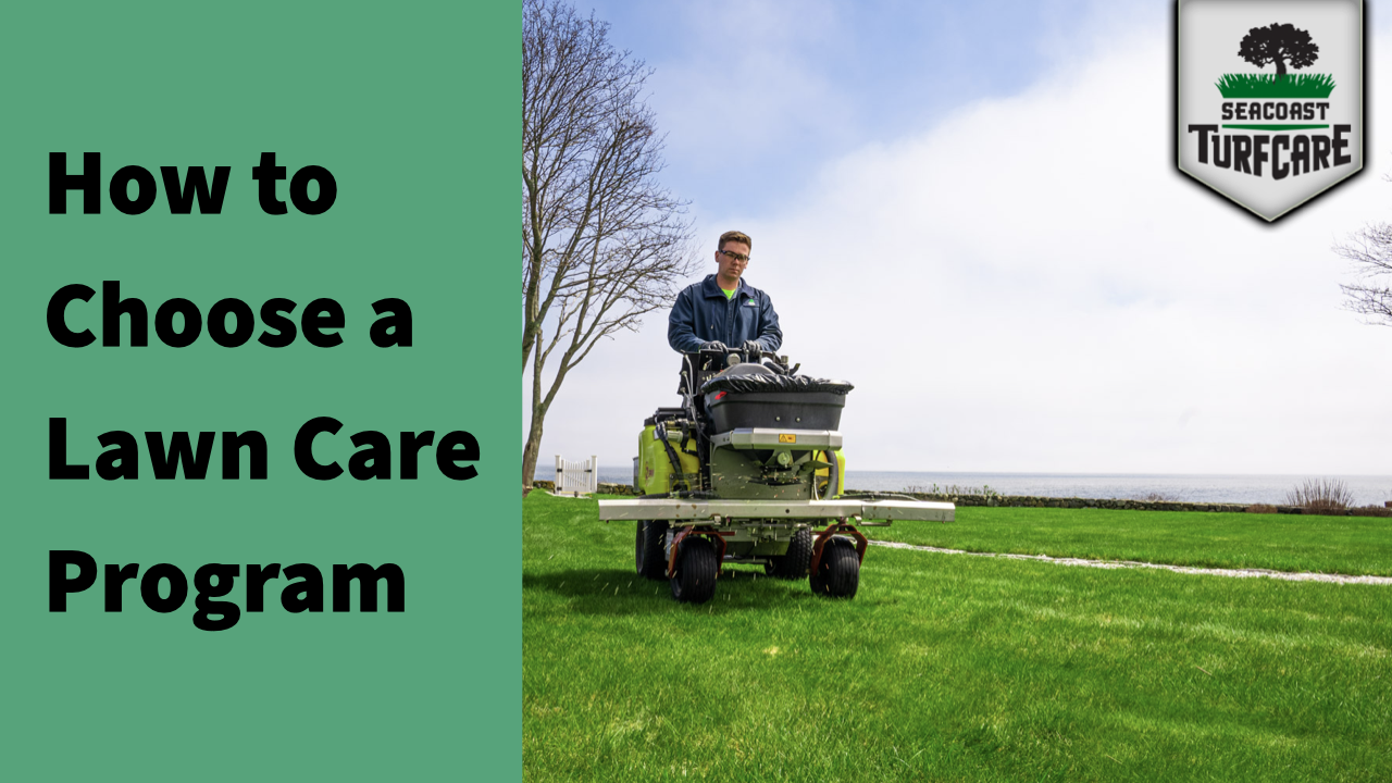 The Essential New England Lawn Care Guide